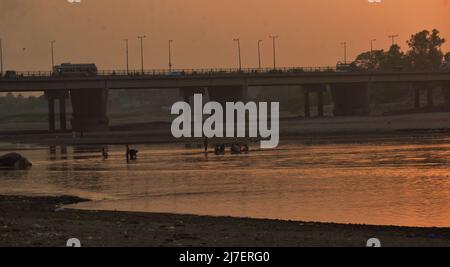 Pakistani people enjoying boating in Ravi River during sunset in Lahore ...