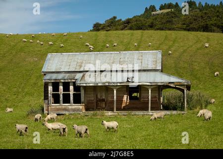 Derelict house and farmland, near Tokarahi, North Otago, South Island ...