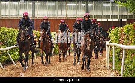 Aidan O'Brien Stars Who Bounced Back Strongly After Classic Defeats ...
