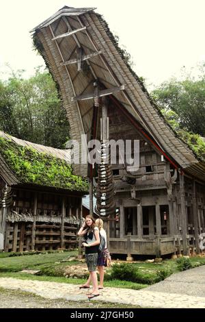 Ke'te' Kesu' village in Toraja landscape. The tongkonan at Ke'te' Kesu ...