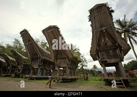 Granaries built in traditional tongkonan architecture in Kete Kesu ...