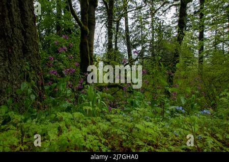 Vista House sits on the cliffside overlooking the Columbia River Gorge ...