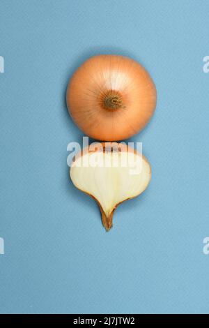 Yellow onion bulbs on blue background. High resolution photo. Full ...