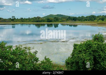 Scenic view of Ikapu Crater Lake, a crater lake in Mbeya, Tanzania ...