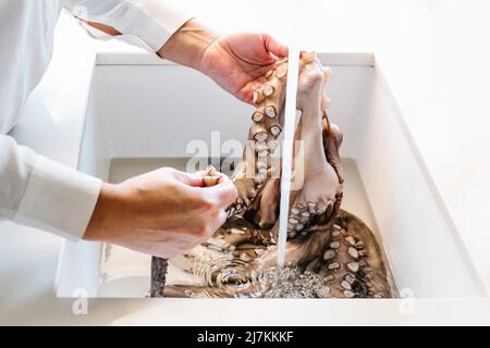 Hands of crop unrecognizable cook washing raw octopus with tentacles ...