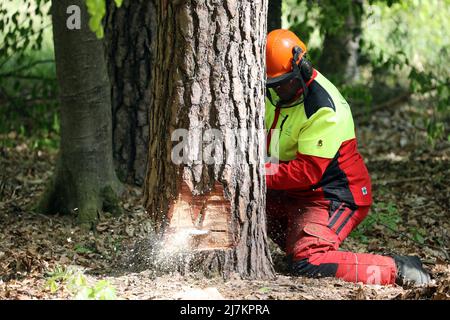 Neustrelitz, Germany. 10th May, 2022. During a practical demonstration ...
