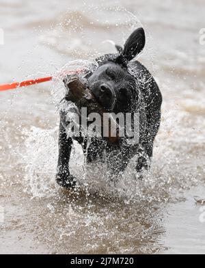 Ingelheim, Germany. 10th May, 2022. While two men sit on a bench at the ...
