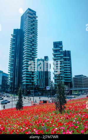 Flowers at the Biblioteca degli Alberi, Porta Nuova, Milan, Lombardy ...