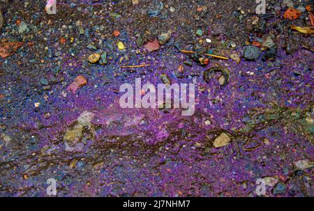 Neon purple background. Chemical stain on concrete. Toxic chemicals ...