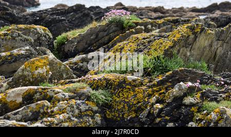 Vault Beach 290422 Stock Photo - Alamy