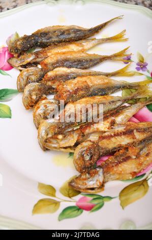 Delicious and beautiful fried horse mackerel istavrit fish, in a white ...