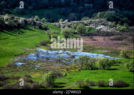 Nature bursts of spring colors. The village of Krywe, Bieszczady ...
