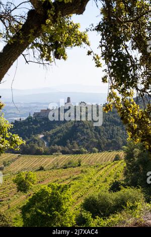 Vineyards in the spring in the Subirats wine region in the province of ...