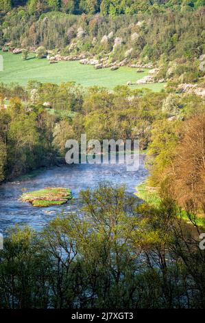 Burst of spring, nature background. The San River Valley, BIeszczady ...