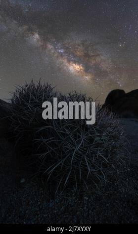 Milky Way over cacti. Milky Way in the night sky over giant cardon ...