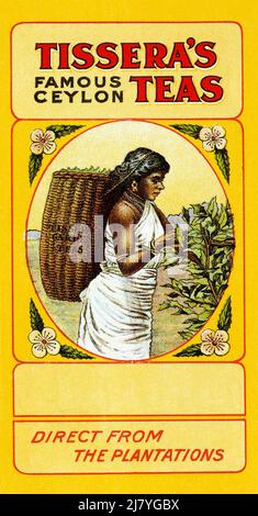 Tissera's Ceylon Tea Stock Photo - Alamy