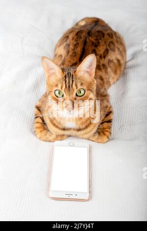 A vertical shot of a blank phone screen with communications icons Stock ...