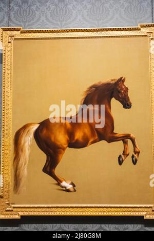 Painting titled "Whistlejacket" by George Stubbs dated 1762 Stock Photo ...