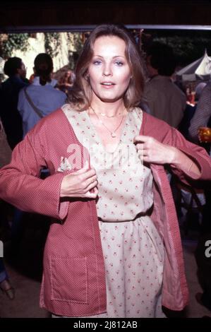 Trish Stewart Circa 1980's Credit: Ralph Dominguez/MediaPunch Stock ...