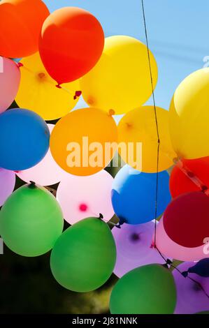 Rainbow balloons supporting the NHS outside The Red Lion pub, Newbrough ...