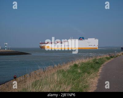 Grimaldi Lines ConRo ship GRANDE AFRICA on the river Elbe. The Grimaldi ...