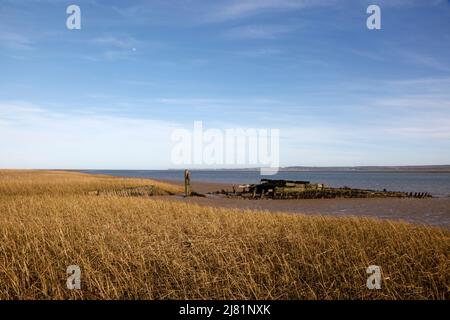 River Swale at The Swale National Nature Reserve, Isle of Harty, Isle ...