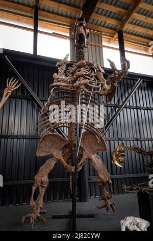 The Megatherium, an extinct genus of giant ground sloths, is depicted ...