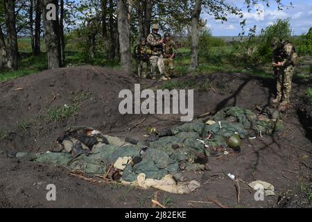 Bodies of eleven Russian soldiers in a mass grave (Photo by Salvatore ...