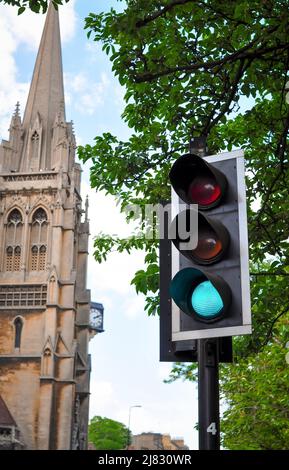 Pedestrian stoplight on green with blue flowers surrounding it in the ...