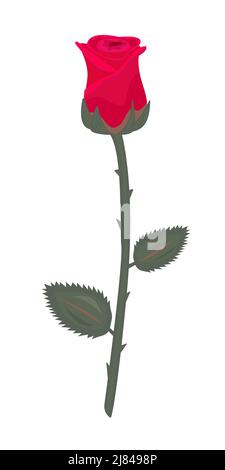 stem with leaves Stock Vector Image & Art - Alamy