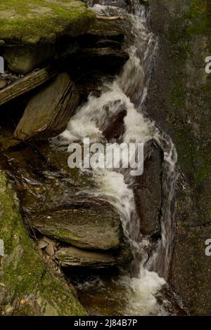 Waterfalls in Hafod Uchtryd wooded and landscaped estate, in the ...