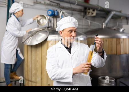 Brewmaster measuring beer density with digital hydrometer in brewery ...