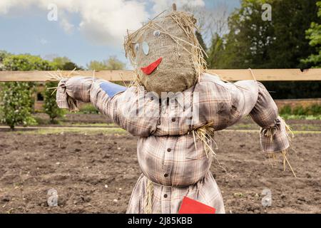 friendly scarecrow in a vegetable garden Stock Photo - Alamy