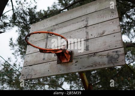 old Basketball hoop in a forest in front of trees Stock Photo - Alamy