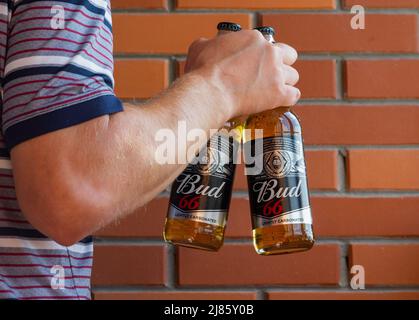 Bud 66 beer bottles in store. This beer produce by Anheuser-Busch, ink ...