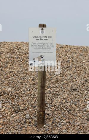 Wader protection sign Walkers (Homo sapiens) Dog (Canis lupus ...