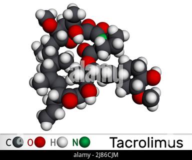 Tacrolimus, FK-506 or Fujimycin molecule. It is potent ...