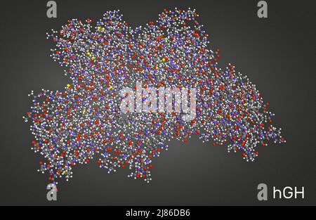 Human growth hormone (hGH, Somatotropin) molecule. 3D illustration ...