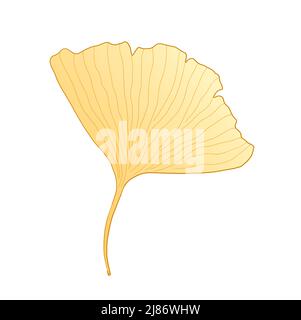 Ginkgo biloba leaf. Japanese theme, wabi sabi style. Simple gingko leaf digital art Stock Vector ...