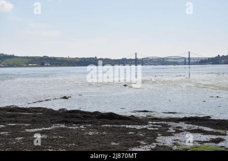 River Tamar at Landulph, Cornwall, England, UK Stock Photo - Alamy