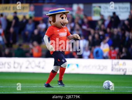 Luton Town mascot 'Happy Harry' Stock Photo - Alamy