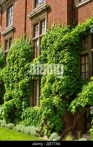 Spring morning on the city walls in York, England. York Minster in the ...