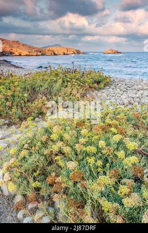Cala del Embarcadero beach, Los Escullos, Cabo de Gata natural park ...