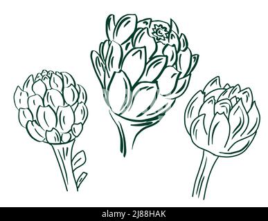 tea artichoke line icon vector. tea artichoke sign. isolated contour ...