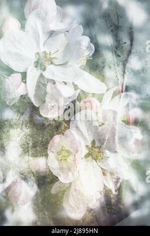 pastel texture spring or summer abstract background Stock Photo - Alamy