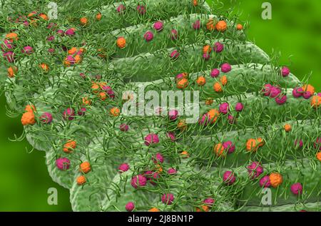 Marijuana, Cannabis sativa leaf - isometric view 3d illustration Stock ...