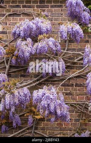 Beautiful landscape image of typical English country garden in Spring ...