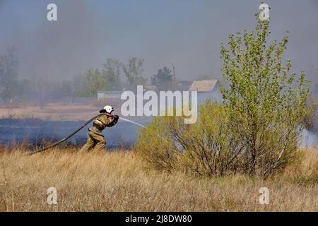 Firefighter extinguishes burning, dry grass from fire hose Stock Photo ...