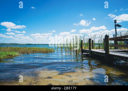 Trimble Park a lakeside park with trails and docks in Mount Dora ...