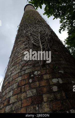 Parka Mine (Park of Mines), 1873 Trevarran United Mine, Indian Queens ...